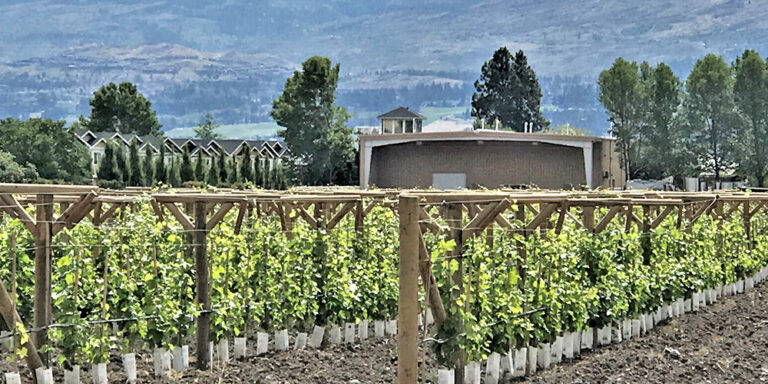 Steel Building Winery | Frind Winery | Nucor Building Systems