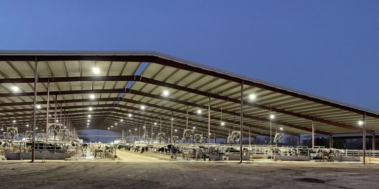 Metal Building Dairy Barn |Fred Rau Dairy| Nucor Building Systems